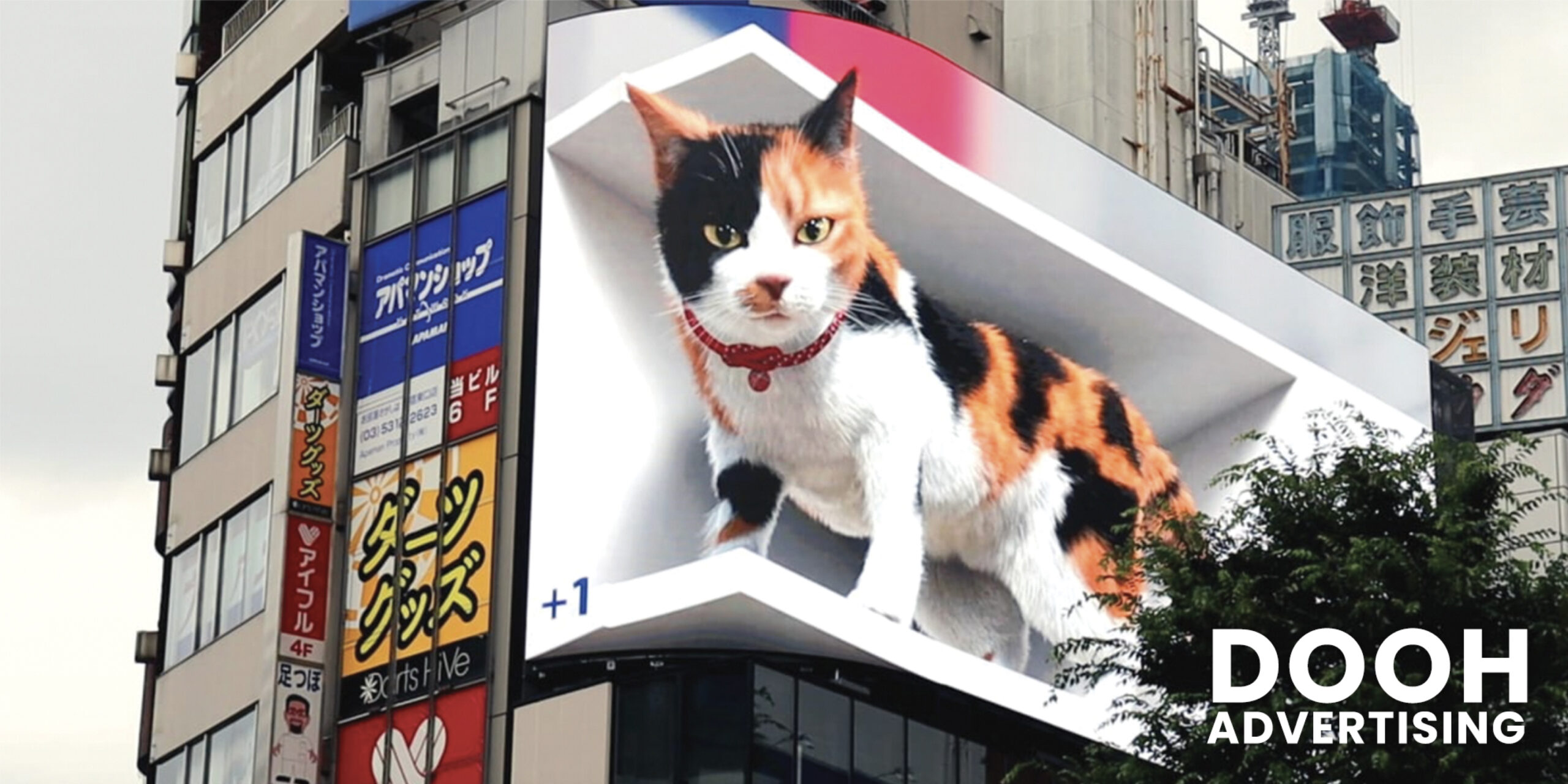 School of Digitalmedia Sripatum University