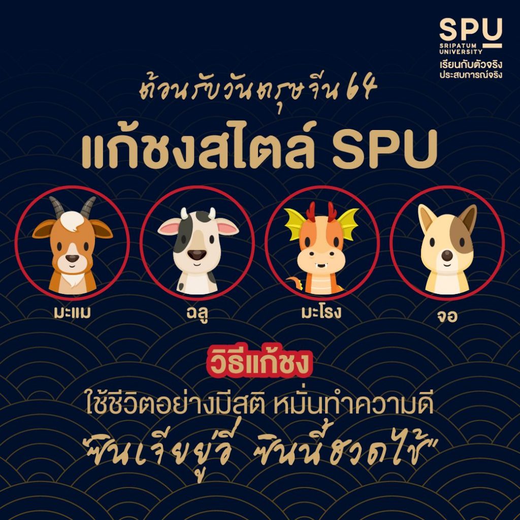 ต้อนรับวันตรุษจีน วิธีแก้ชง ฉบับ SPU – SPU life