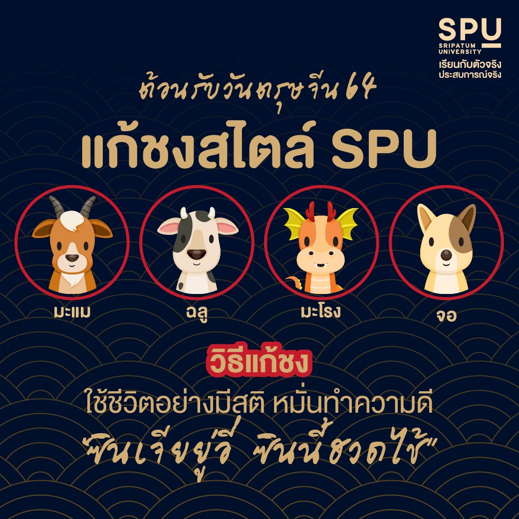 ต้อนรับวันตรุษจีน วิธีแก้ชง ฉบับ SPU – SPU life